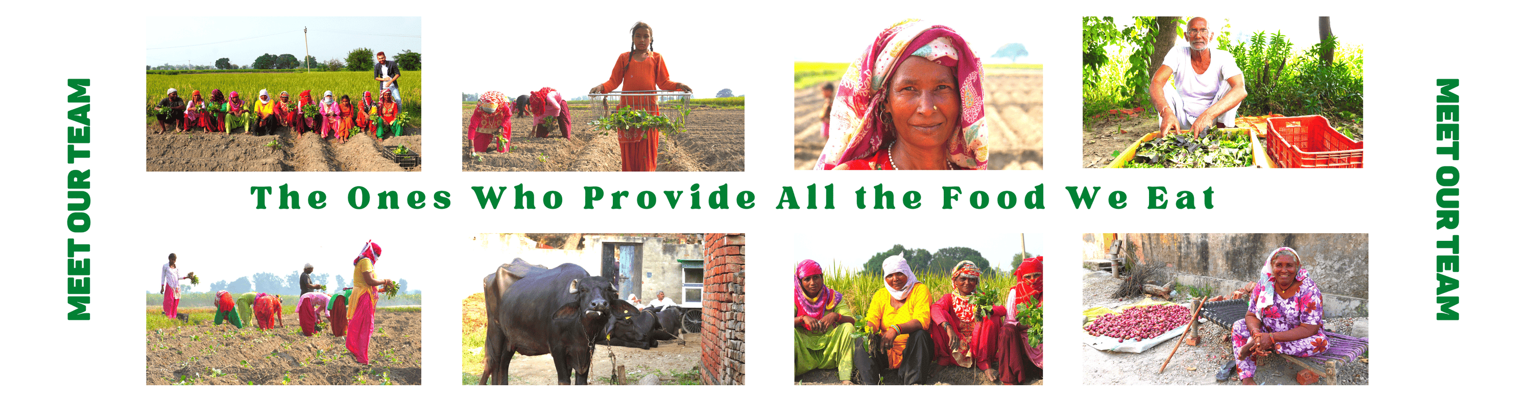 Nature's Soul Shop: Online Organic Food and Grocery Store – naturessoulshop