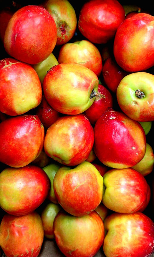 Nature's Soul Shop: Online Organic Food and Grocery Store – naturessoulshop